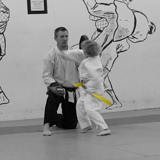 Techniques of Fudoshin Jujitsu – Fudoshin Jujitsu & Martial Arts