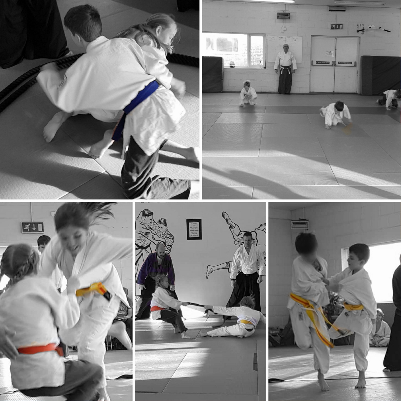 Why learn Jujitsu? – Fudoshin Jujitsu & Martial Arts