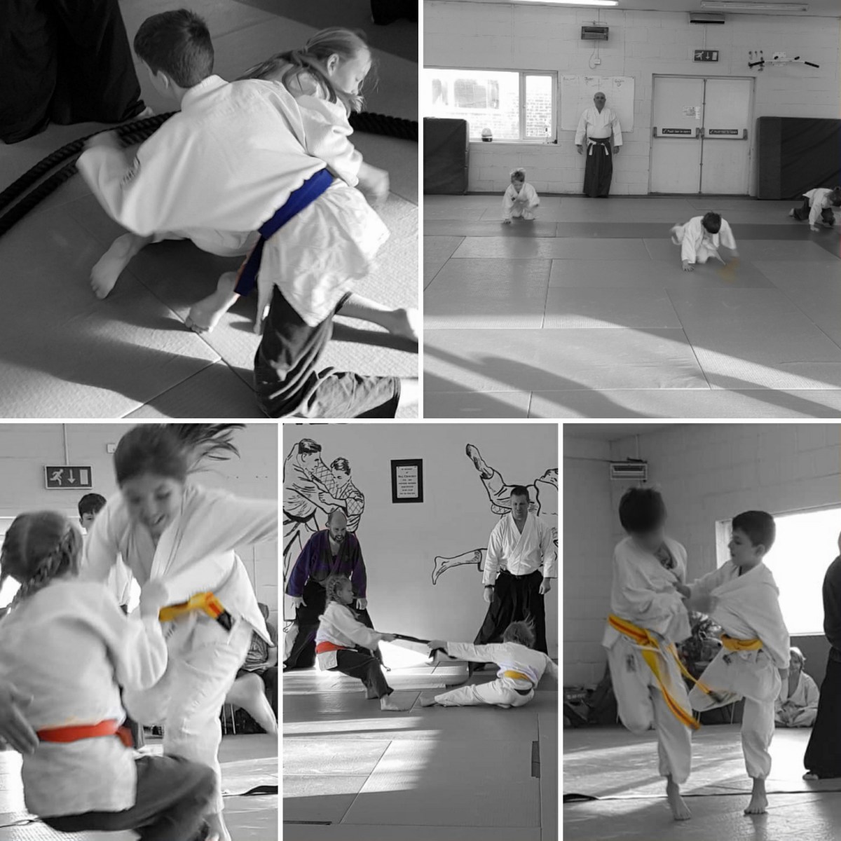Why learn Jujitsu? – Fudoshin Jujitsu & Martial Arts