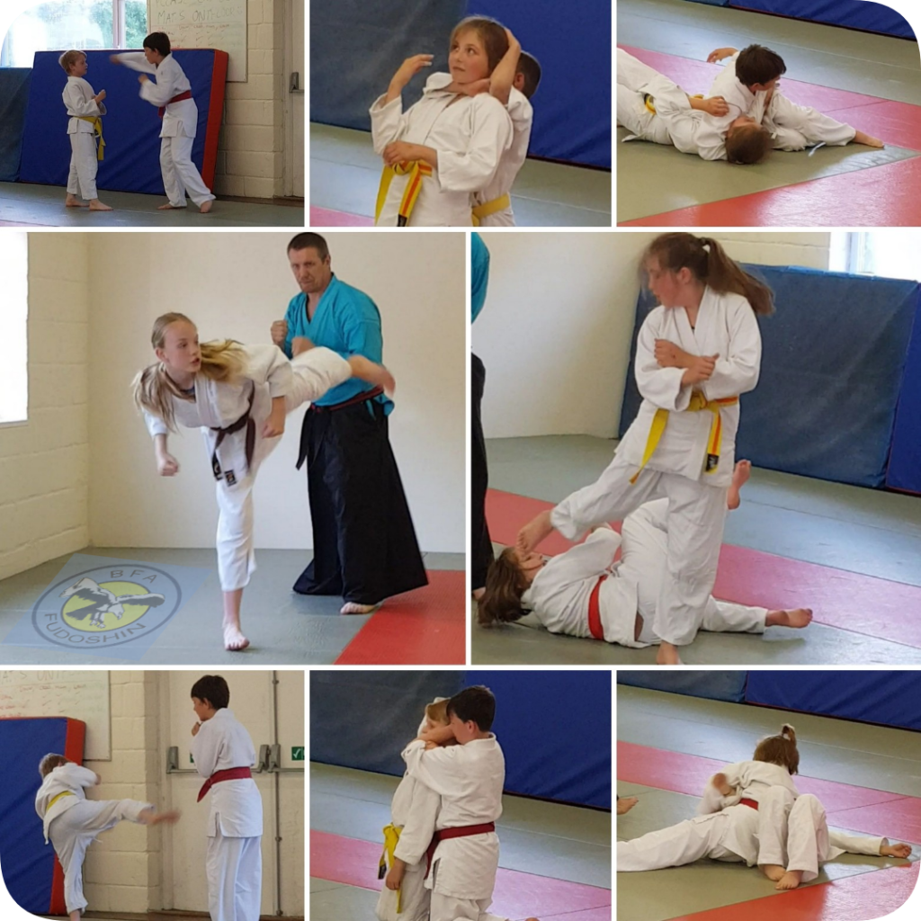 Overview of Fudoshin Jujitsu – Fudoshin Jujitsu & Martial Arts