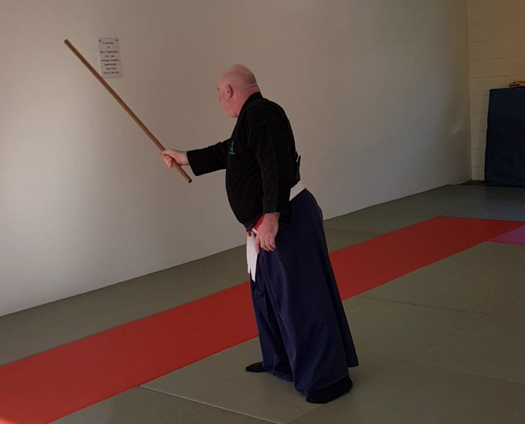 Jo-Jutsu – Fudoshin Jujitsu & Martial Arts